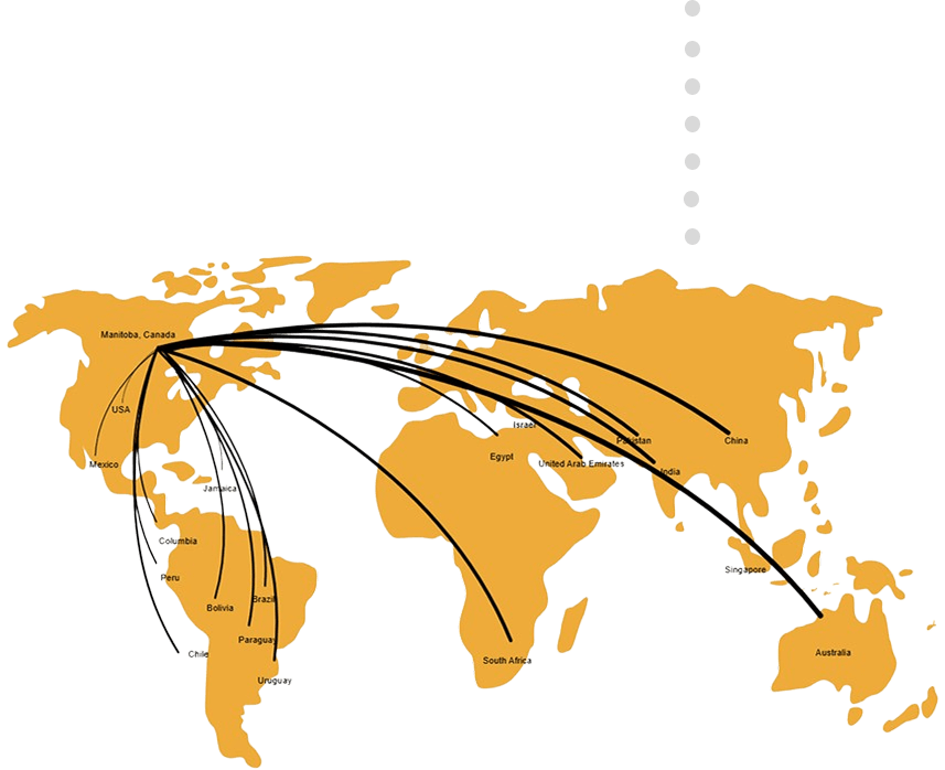 B-Line Import Export Ltd | Quality Import & Export Services